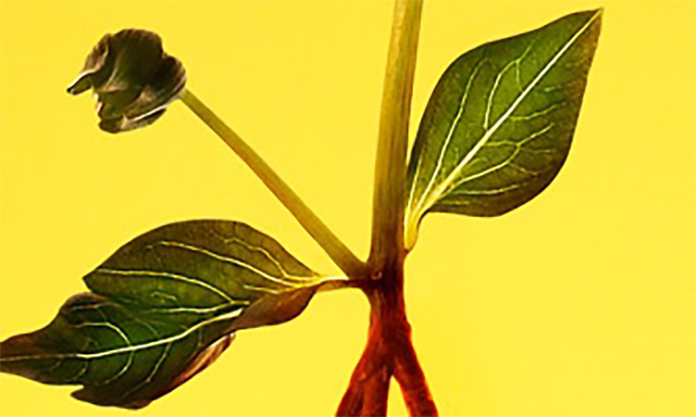 Soy Based Ink | The John Roberts Company